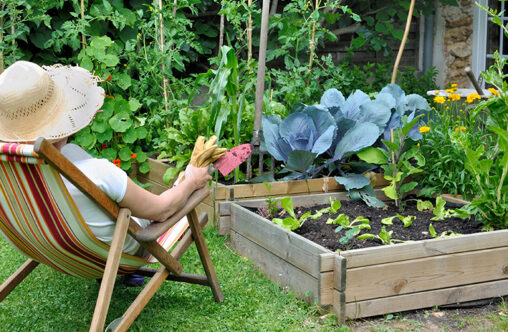 Beginners gardening tips for National Gardening Week | Rated People